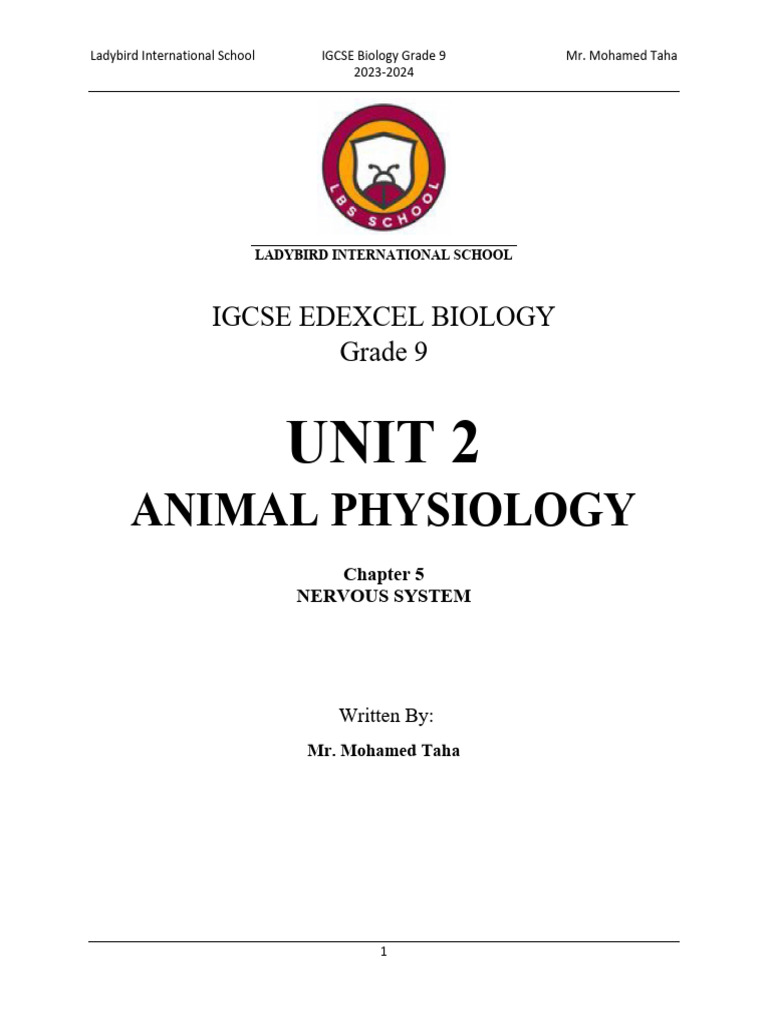 Unit 2 - CH 6 - Nervous System Summary | PDF | Neuron | Stimulus (Physiology)