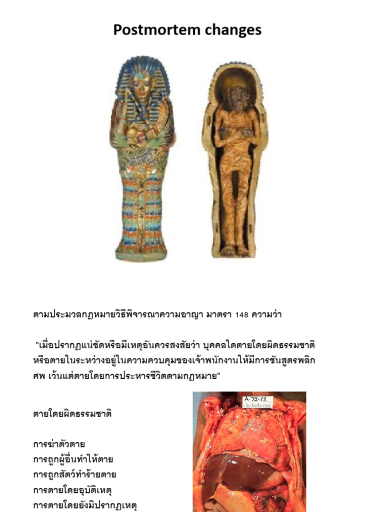 Changes After Death | PDF