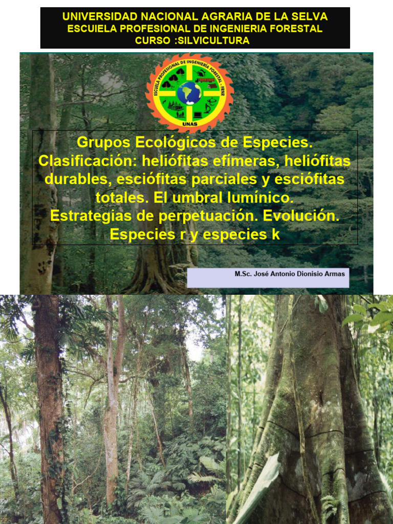 Grupos Ecológicos: Heliófitas y Esciófitas | PDF | Los bosques | Ecología