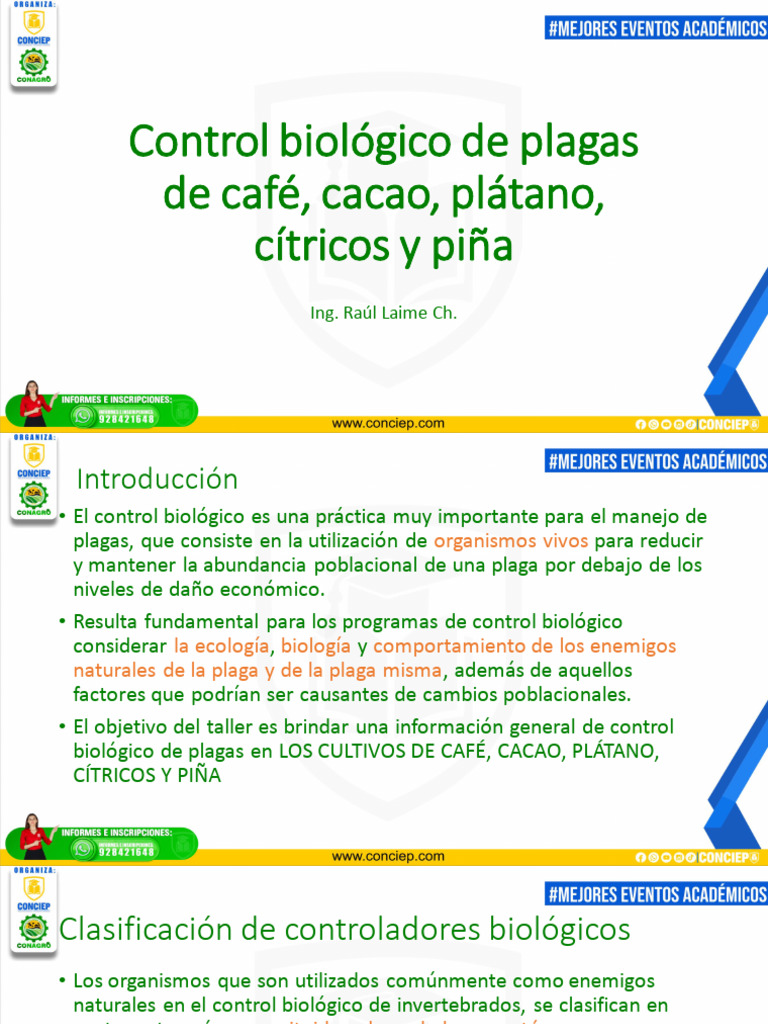 Control Biológico de Plagas de Café, Cacao, Plátano, Cítricos y Piña ...