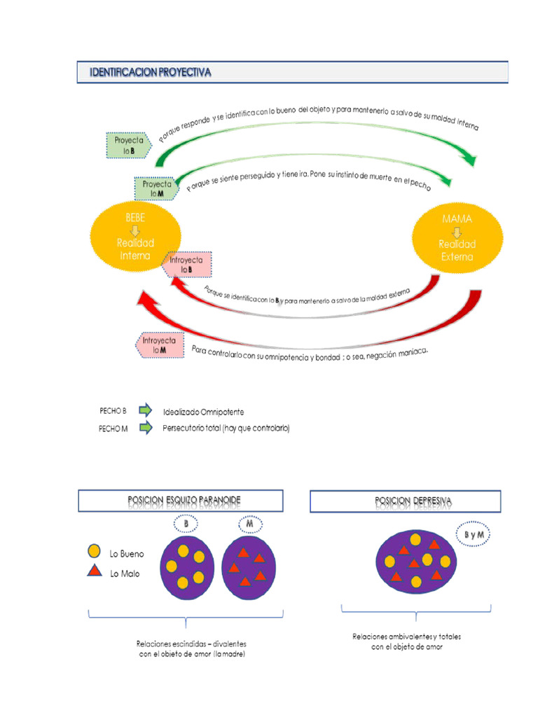 Identific. Proyectiva M.K. | PDF