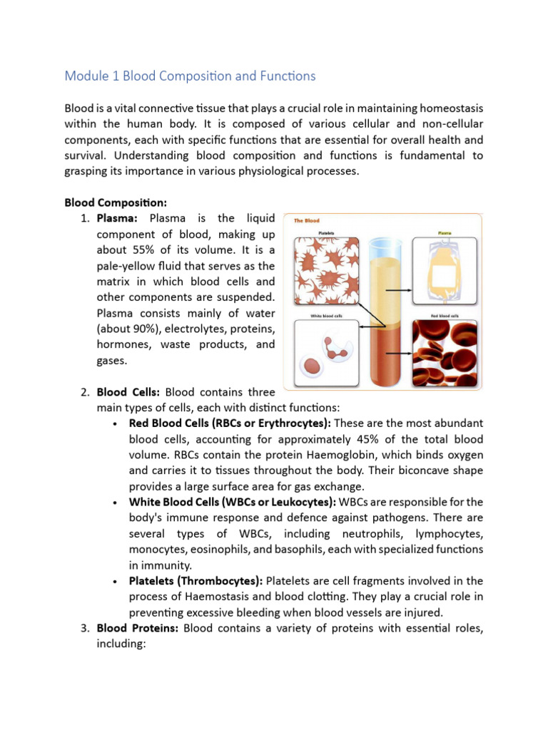 Module 1 Blood Composition and Functions | PDF | Blood | Blood Cell