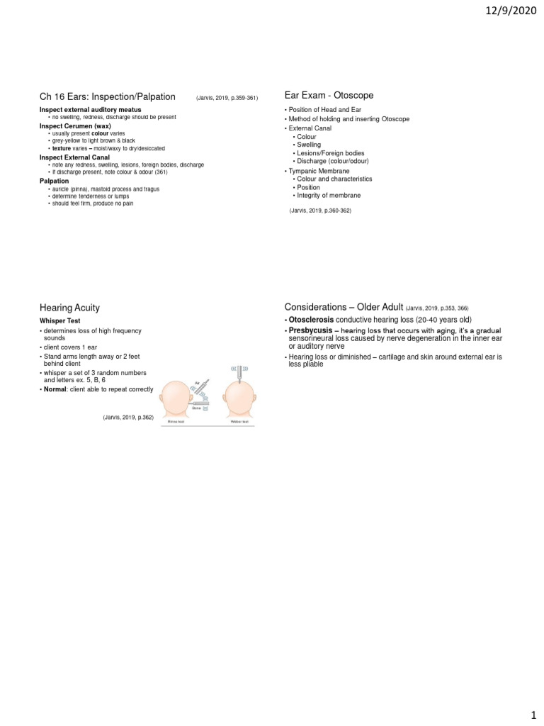 HA 1 - Ears - Student Version 6 Slides Per Page | PDF | Ear | Hearing