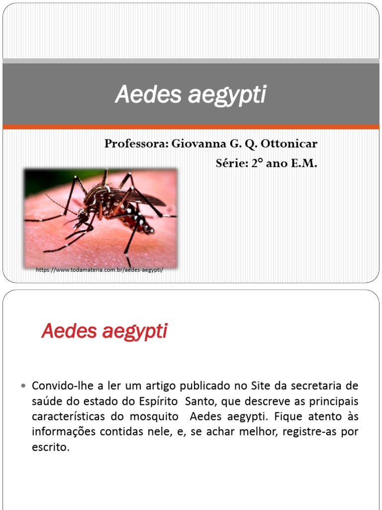 Aula 2 - Aedes Aegypti | PDF | Aedes aegypti | Mosquito