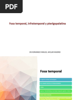Anatomía de la Fosa Temporal e Infratemporal | PDF | Cráneo | Vena