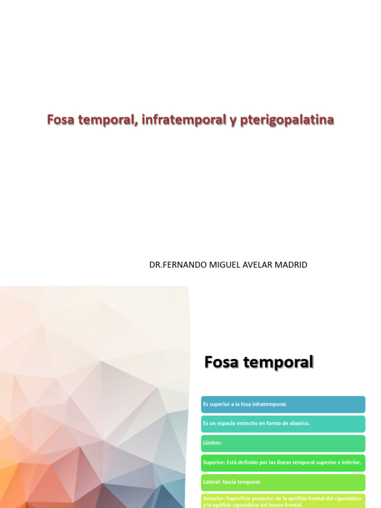 Fosa Temporal, Infratemporal y Pterigopalatina | PDF | Anatomía ...