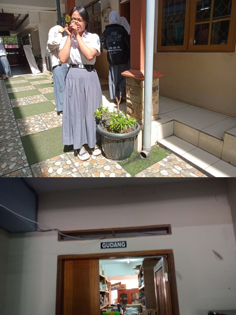 Geografi Verissa Veronica | PDF