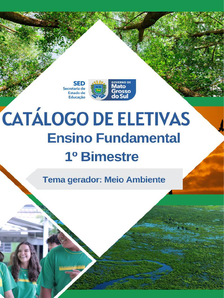 1º Bimestre - Catálogo de Eletivas Do Ensino Fundamental | PDF | Aprendizado | Pedagogia
