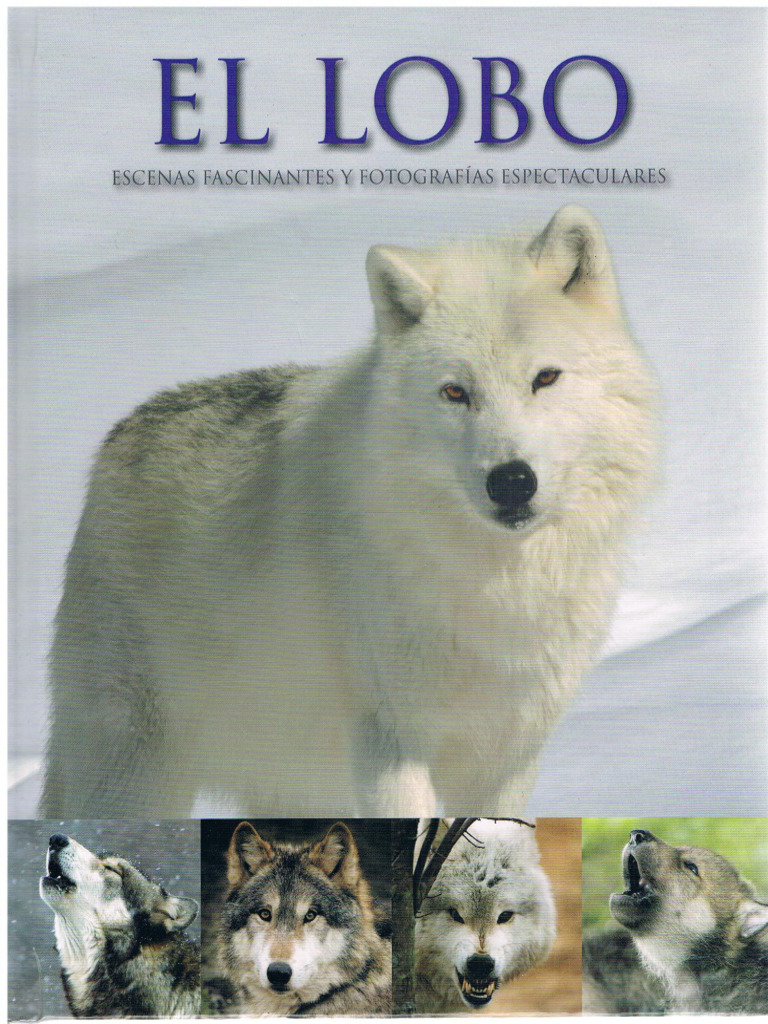 El Lobo - 2 | PDF