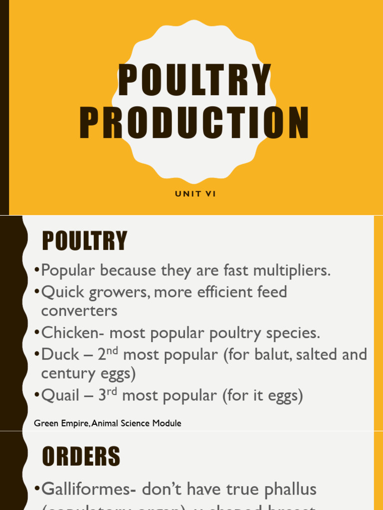 P7 Poultry Production | PDF | Chicken | Reproductive System