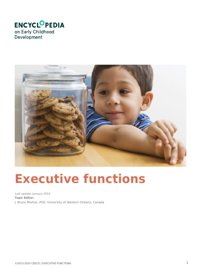 Executive Functions | PDF | Executive Functions | Emotions