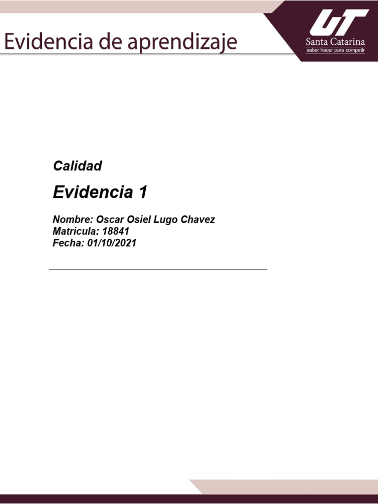 E1 Calidad | PDF | Calidad (comercial) | Producto (Negocio) E1 Calidad | PDF | Calidad (comercial) | Producto (Negocio)