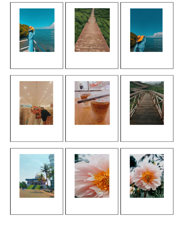 Project Polaroid | PDF