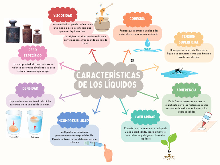 Características y propiedades de líquidos | PDF | Líquidos | Viscosidad