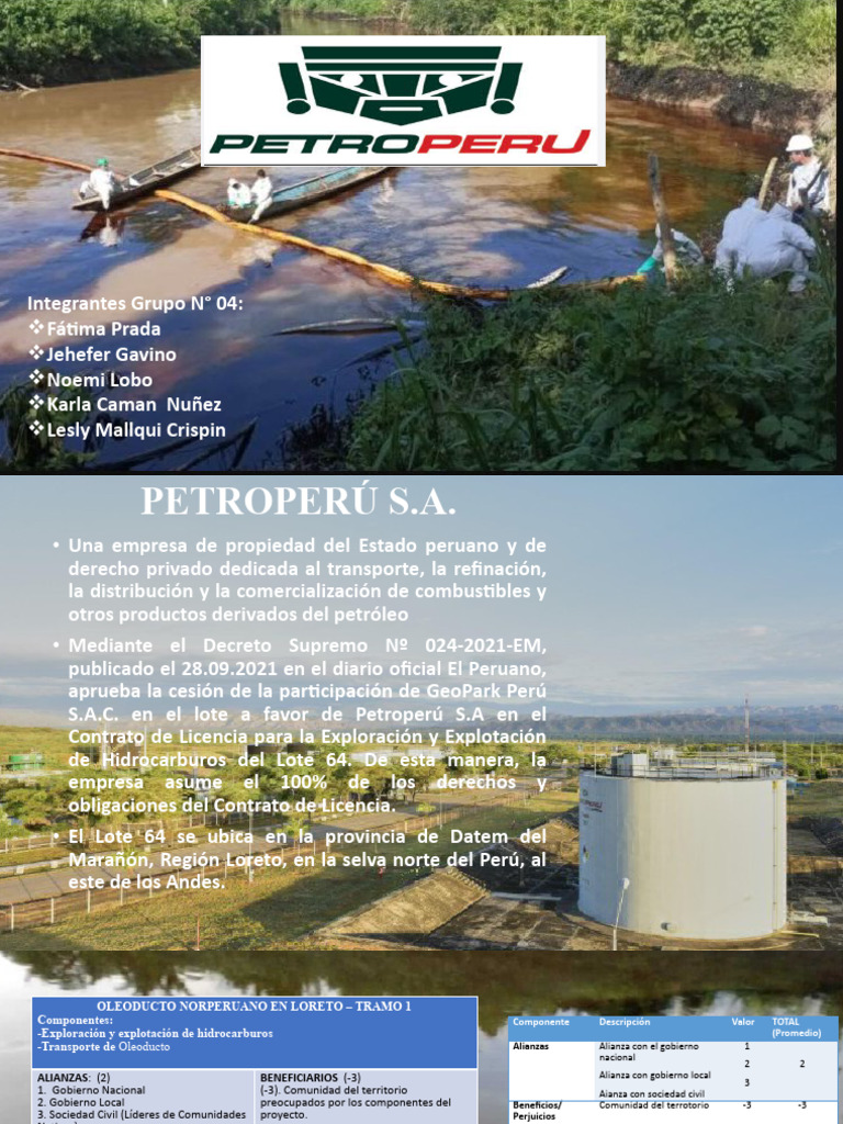 Panel - Petroperu | PDF | Entorno natural