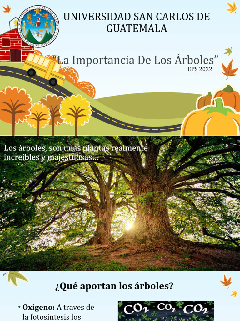Exposición La Importancia de Los Arboles | PDF | Arboles | Los bosques