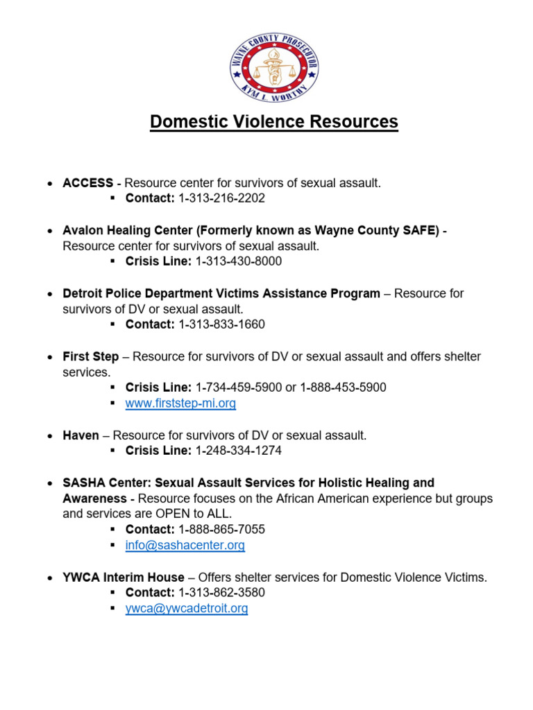 2024 Domestic Violence Resources | PDF