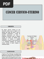 Triptico Cancer Cervicouterino | PDF | Cáncer | Inmunología
