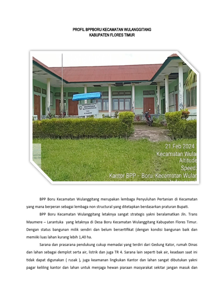 Profil BPP Boru Wulanggitang Flores Timur | PDF | Ilmu Sosial | Kesehatan Holistik