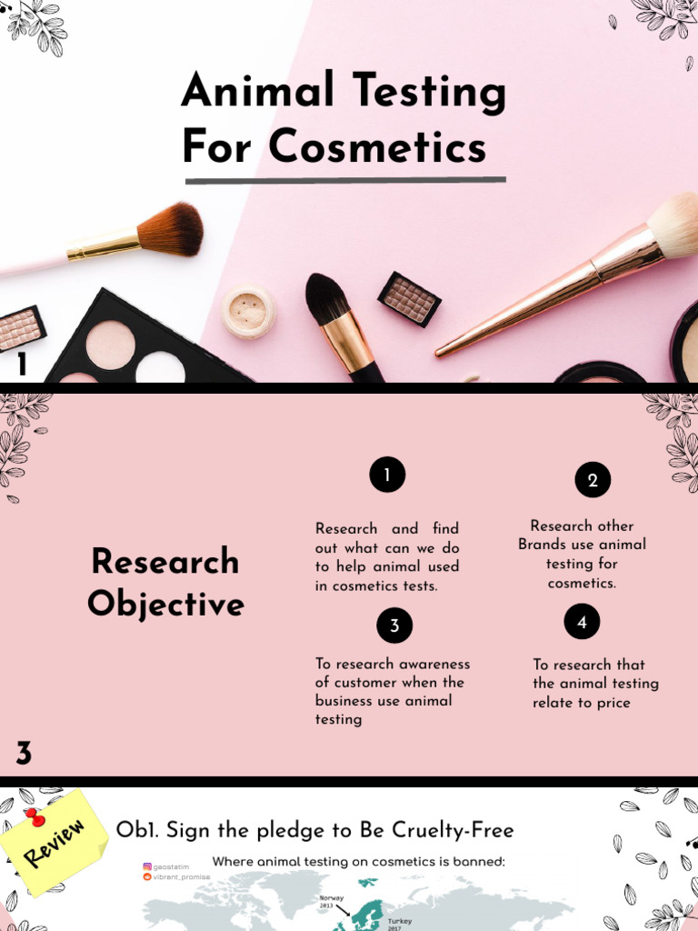 Ethical Beauty: Ending Animal Testing | PDF | Cosmetics