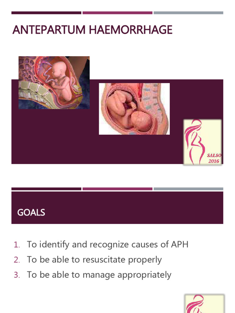Antipartum Aph | PDF | Mammalian Pregnancy | Obstetrics