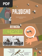 Funciones y Usos de la Quitina | PDF