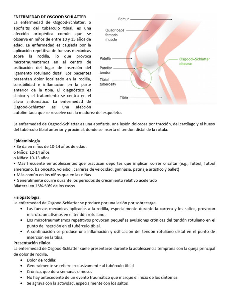 Enfermedad de Osgood Schlatter | Descargar gratis PDF | Rodilla | Medicina CLINICA