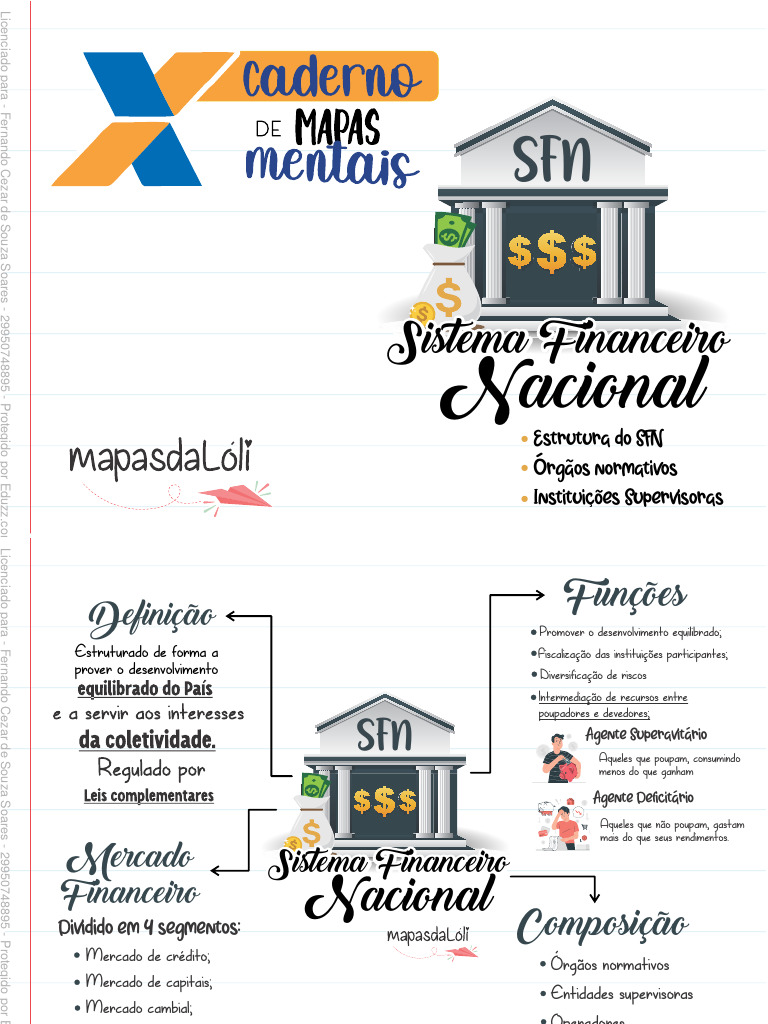 1 SFN Estrutura Orgaos Normativos e Instituicoe Supervisoras | PDF