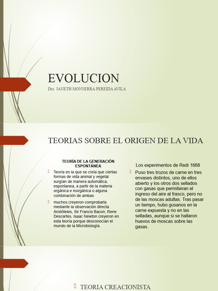 Teorías del Origen de la Vida | PDF | Evolución | Agua