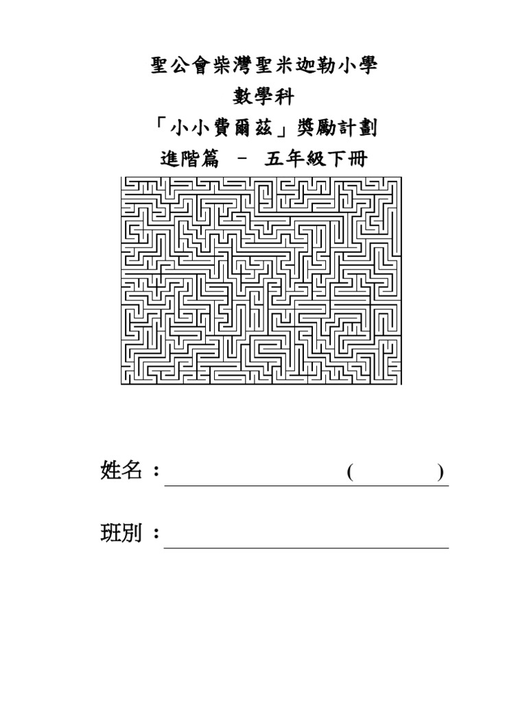 2018 P5 Fields Medals WS2 | PDF