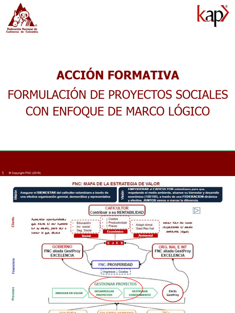 Elementos Base Formulación de Proyectos | PDF | Cooperación | Aprendizaje