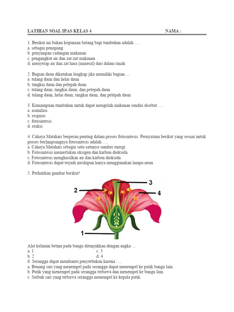 Latihan Soal Ipas Kelas 4 | PDF