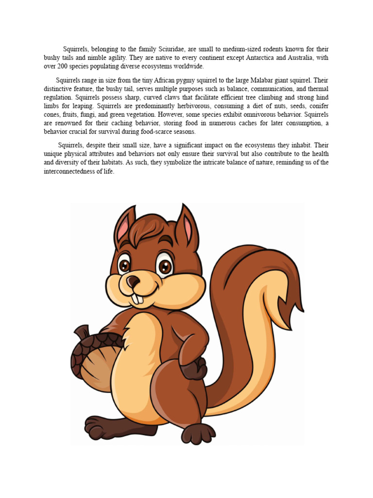 Squirrels | PDF | Science & Mathematics | Technology & Engineering