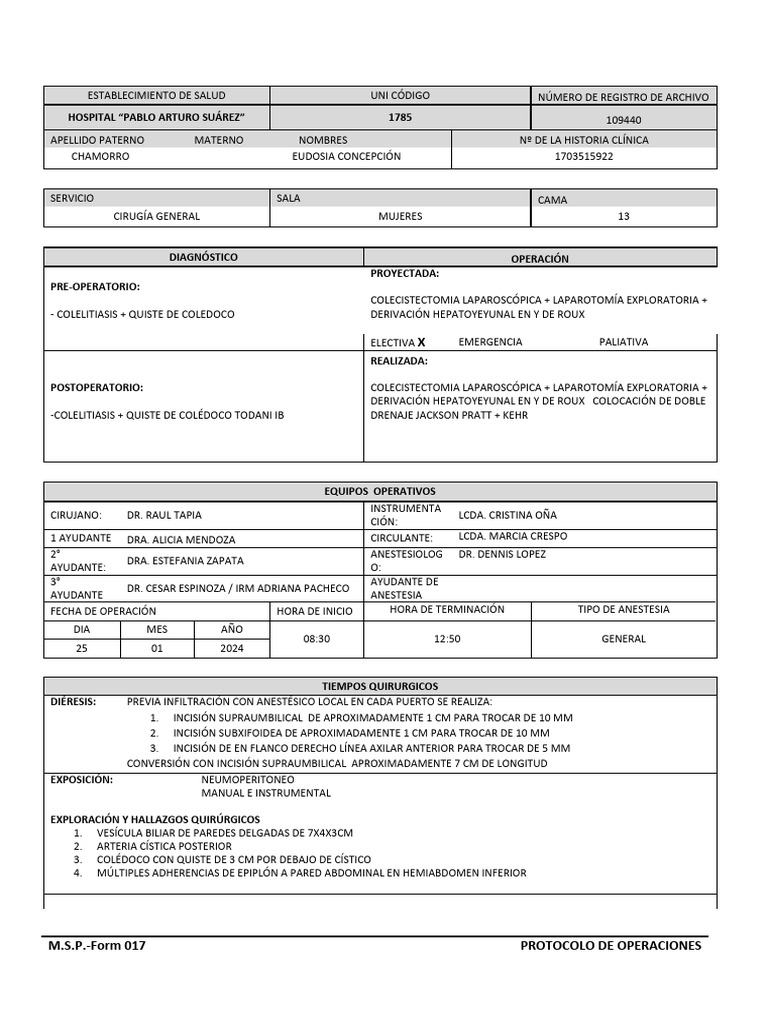 Copia de Protocolo Derivacion Hepatoyeyuno Eudosia Chamorro | PDF ...