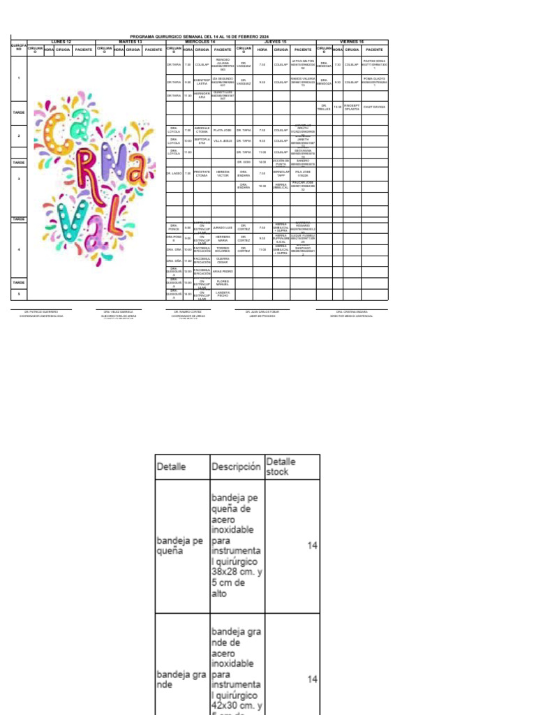 Programa Quirurgico Semanal Del 14 Al 16 de Febrero 2024 | PDF