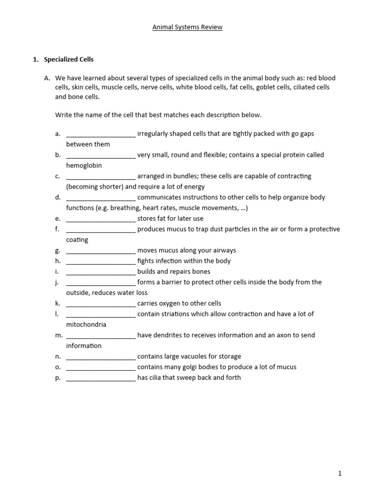 Animal Body Systems Overview and Functions | PDF | Blood | Blood Vessel