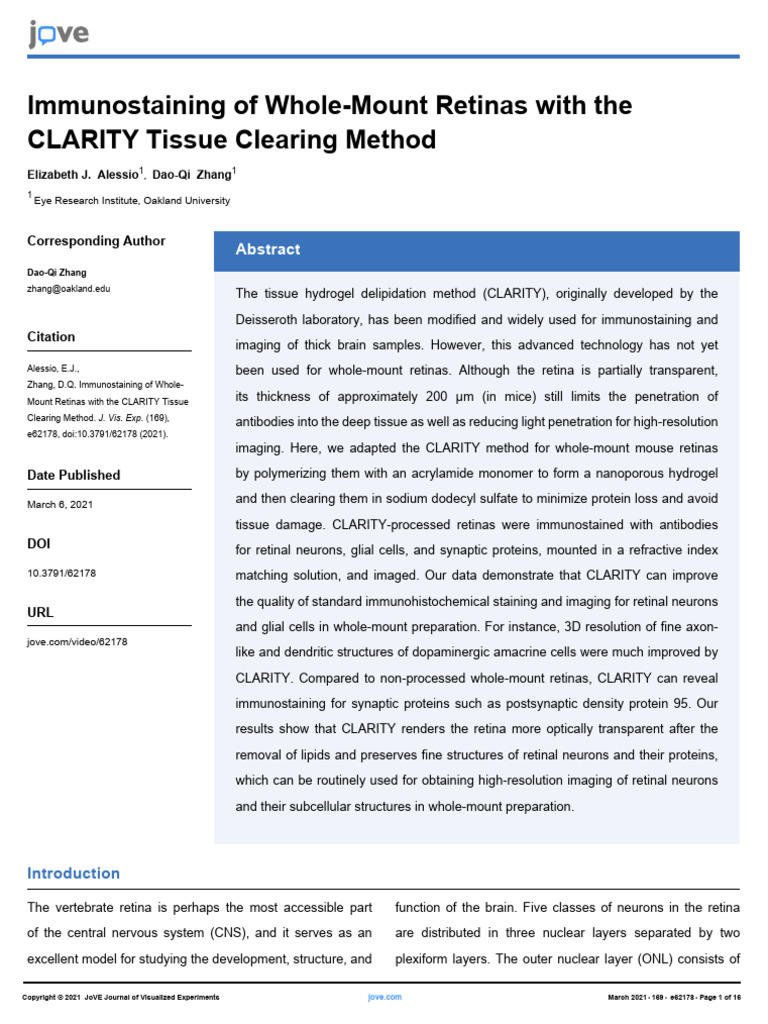 Jove Protocol 62178 Immunostaining of Wholemount Retinas With The Clarity Tissue Clearing Method ...