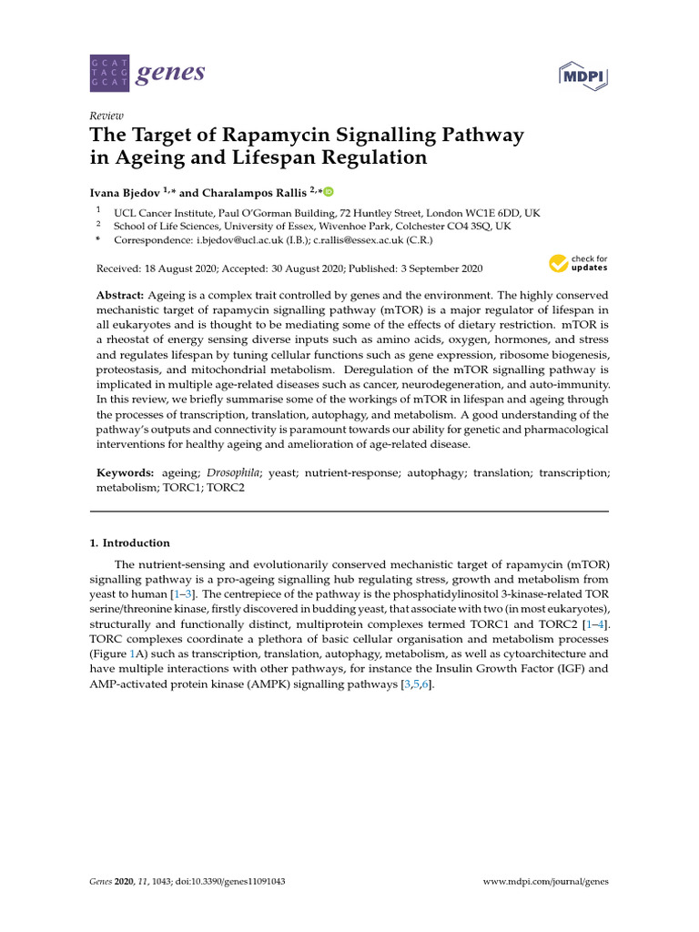 mTOR Pathway in Ageing and Lifespan | PDF | Biochemistry | Chemistry
