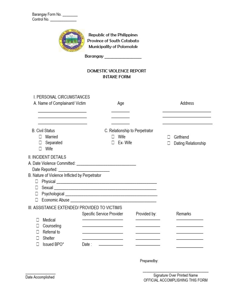 Domestic Violence Report Intake | PDF