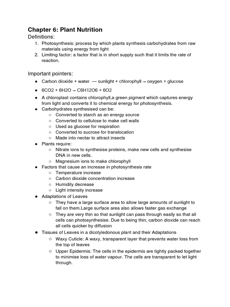 Chapter 6,8 Biology | PDF | Leaf | Photosynthesis
