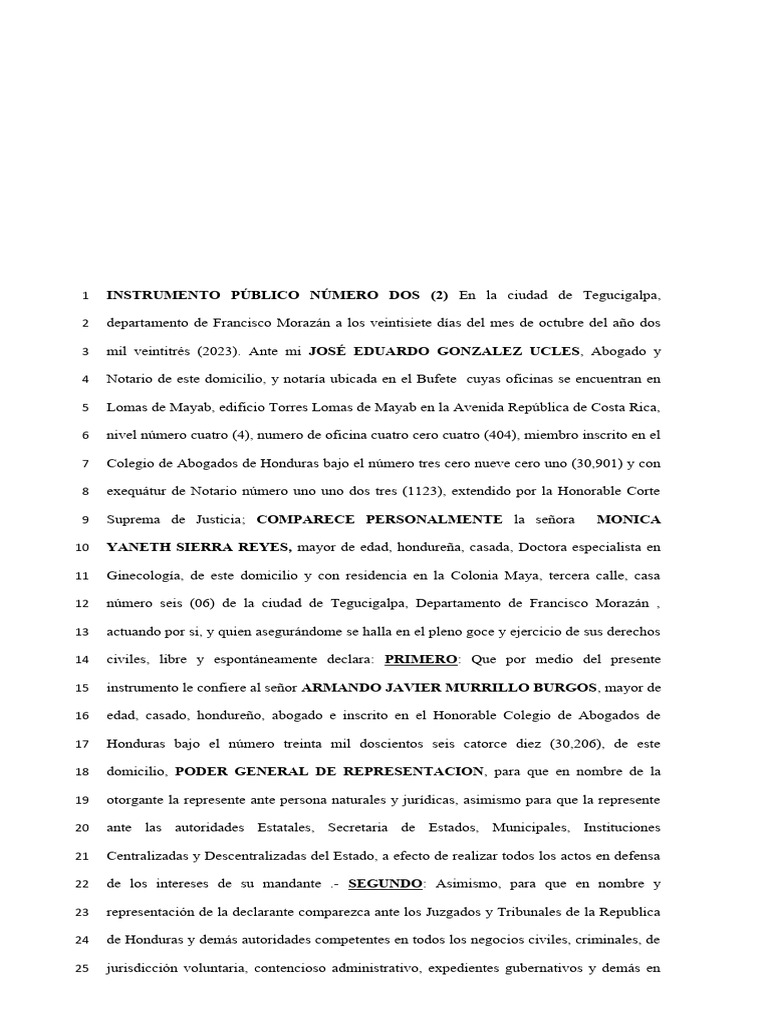 Avance 1 Protocolo | PDF | Honduras | Pagaré