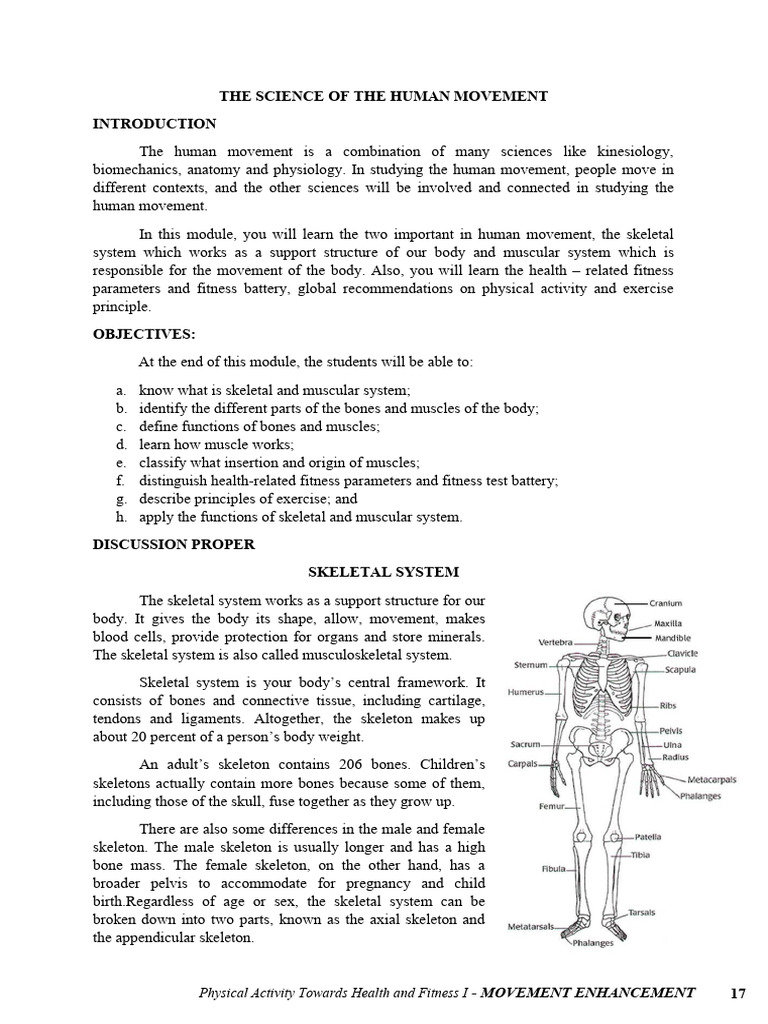 PE1 Movement Enhancement Module | PDF | Anatomical Terms Of Motion ...