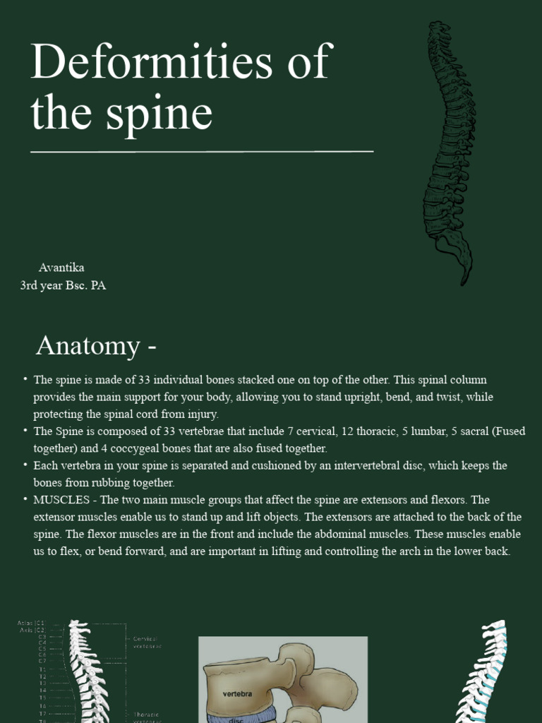 Types and Treatment of Spine Deformities | PDF | Vertebral Column ...
