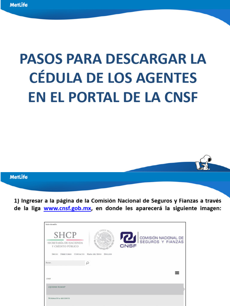 Pasos para Descarga de Cedula Desde CNSF | PDF