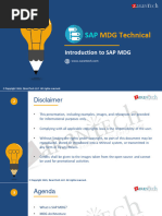 Extend SAP MDG Standard Data Models | PDF | Data Model | Design