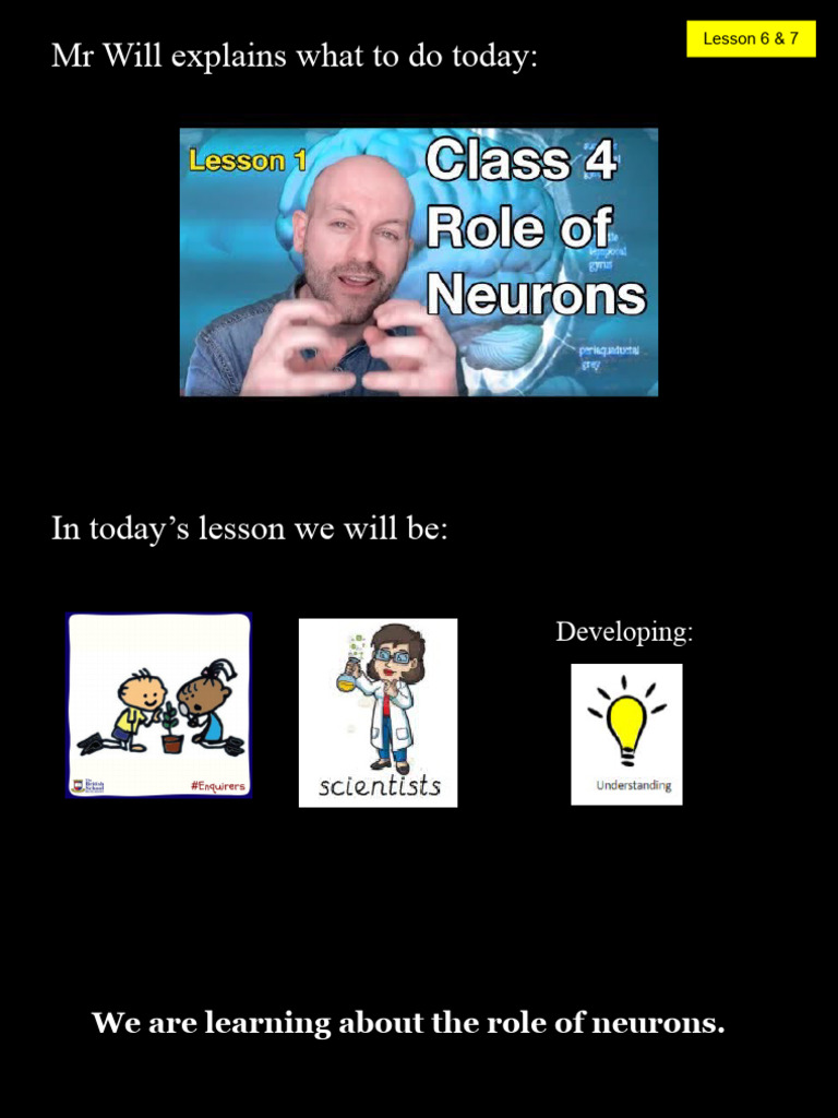 Lesson 6 - C4 Neurons & The Brain | PDF | Neuron | Brain