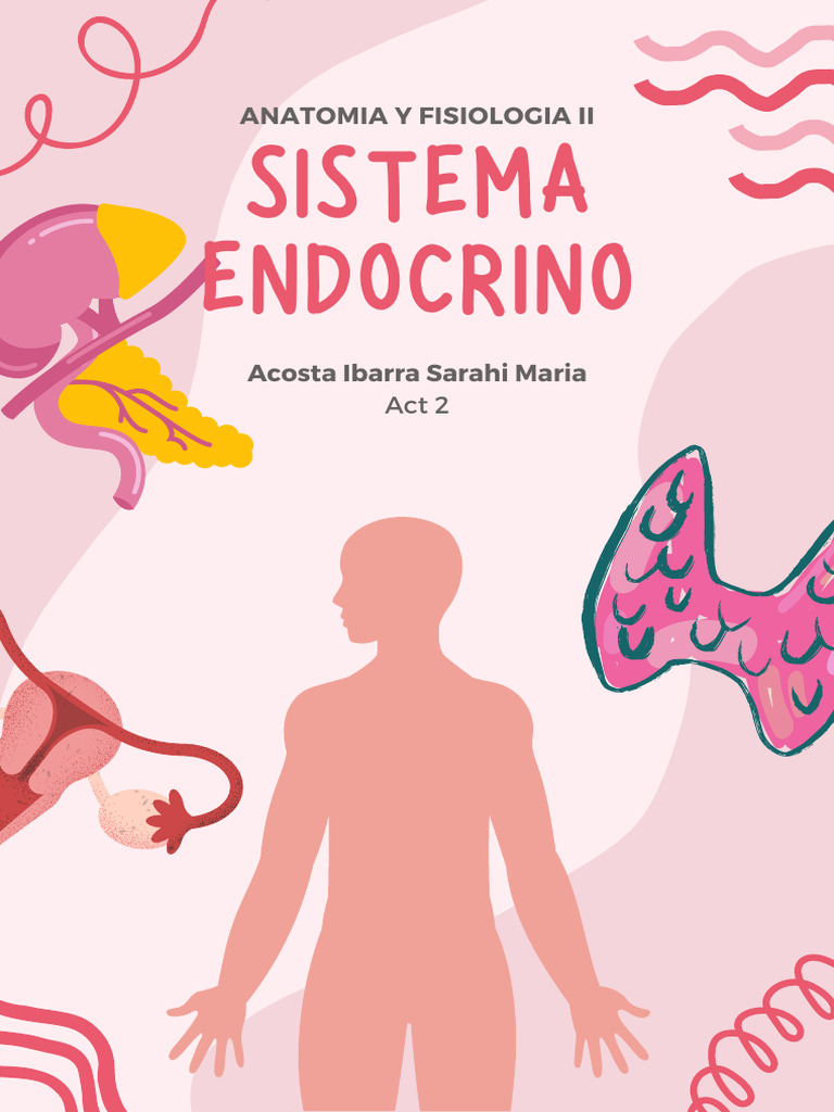 Act 2 Esquema Grafico | PDF | Sistema endocrino | Hormona