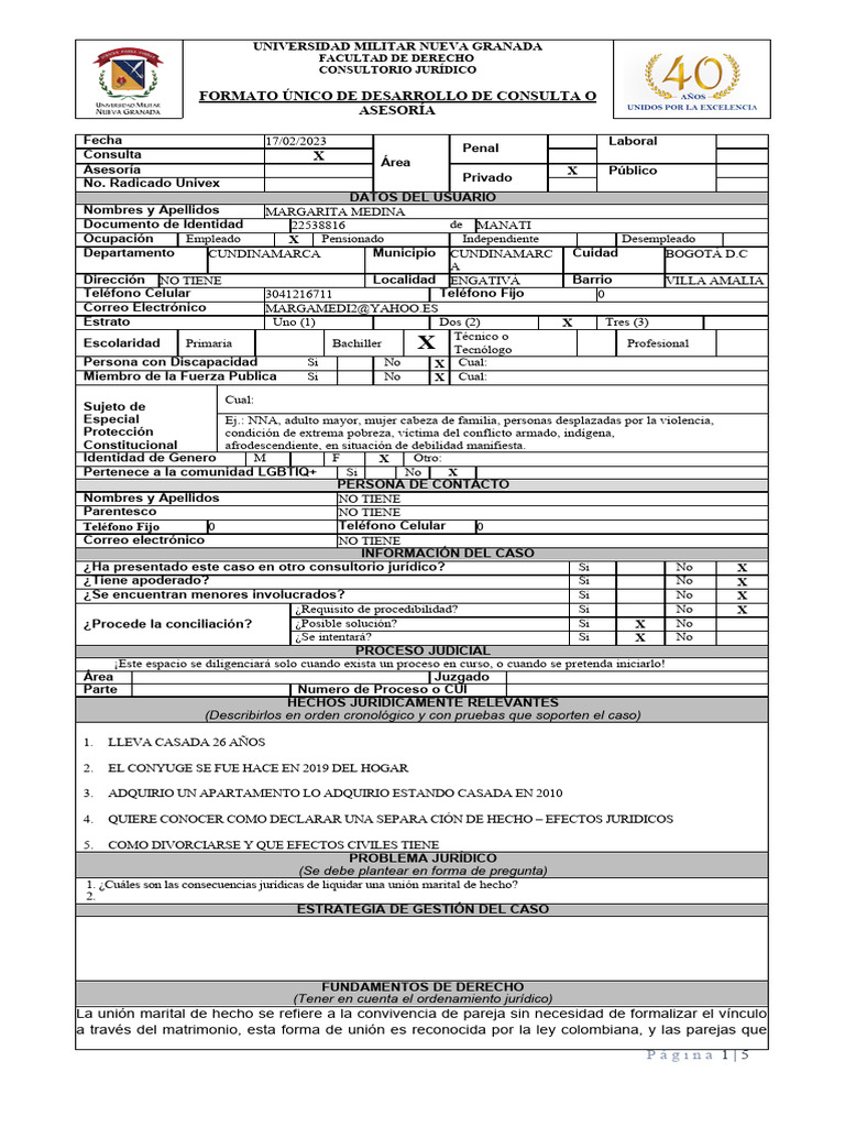 Formato Consultas | PDF