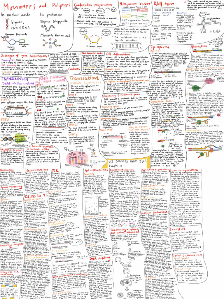 Chapter 2 Biology Notes | PDF