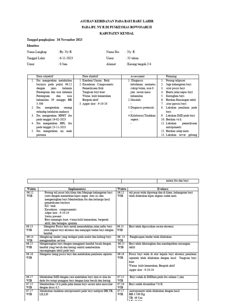 Soap BBL by Ny R | PDF